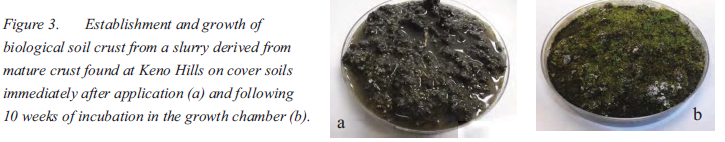 Biological Soil Crusts and Native Species for Northern Mine Site ...