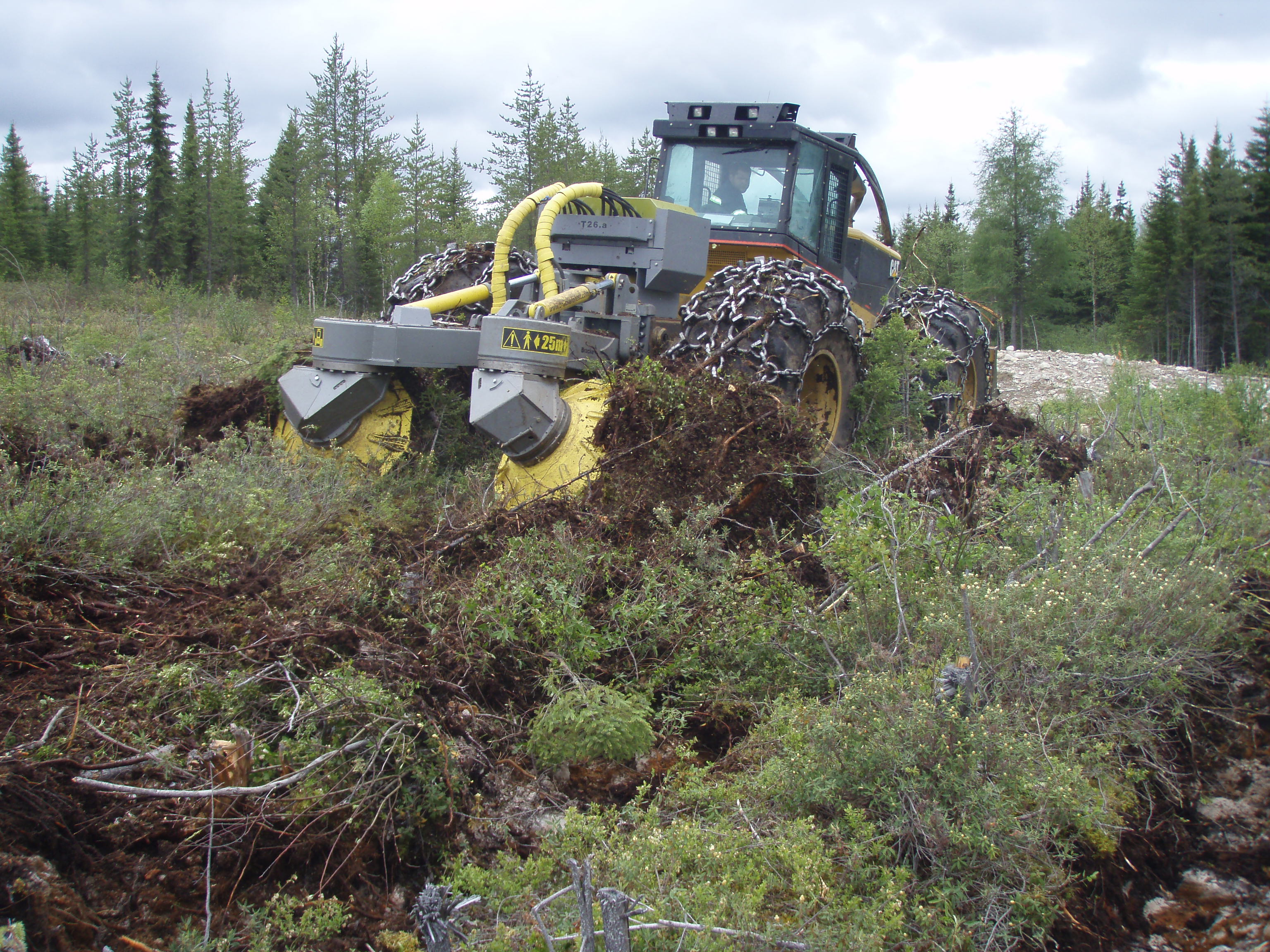 Update on NRCan ’s Progress Toward the Digitalization of the Forestry ...