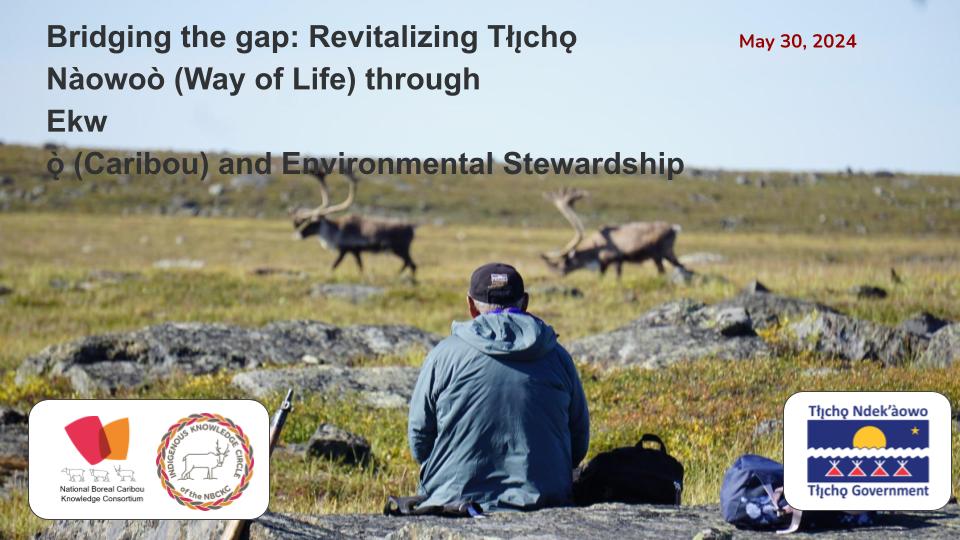 Webinar - Bridging the gap: Revitalizing Tłı̨chǫ Nàowoò (Way of Life ...