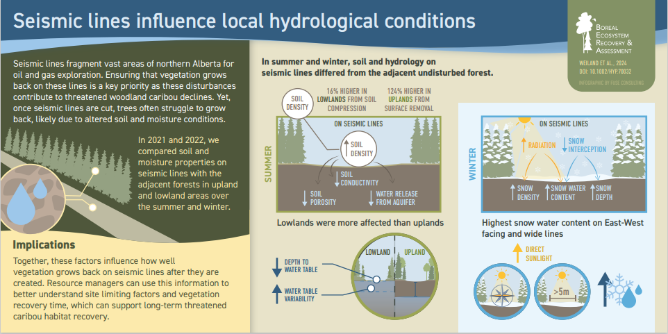 The Influence of Seismic Lines on Local Hydrology and Snow Accumulation ...
