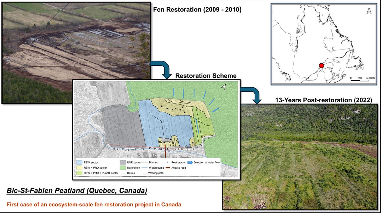 Unfolding a Peatland’s Story: Assessing the Restoration Outcomes and ...