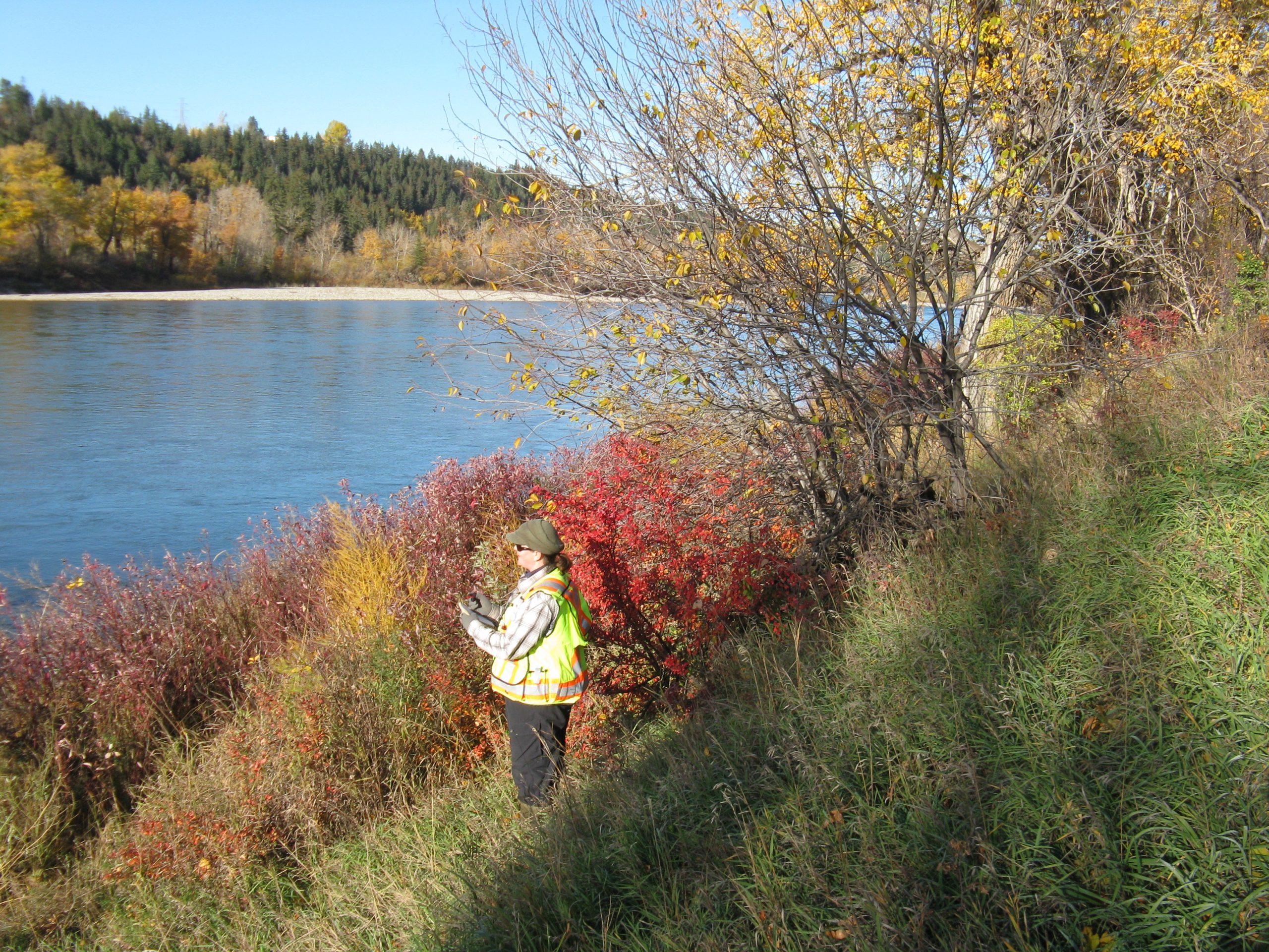 Calgary Alberta Wetland Rapid Evaluation Tool Field Training | Canadian ...