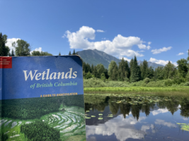 Wetland Classification: An Introduction | Canadian Conservation and ...