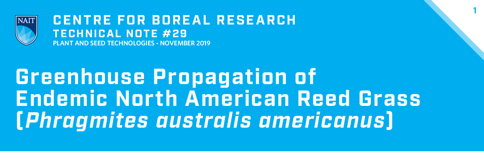 Greenhouse Propagation of Endemic North American Reed Grass | Canadian ...