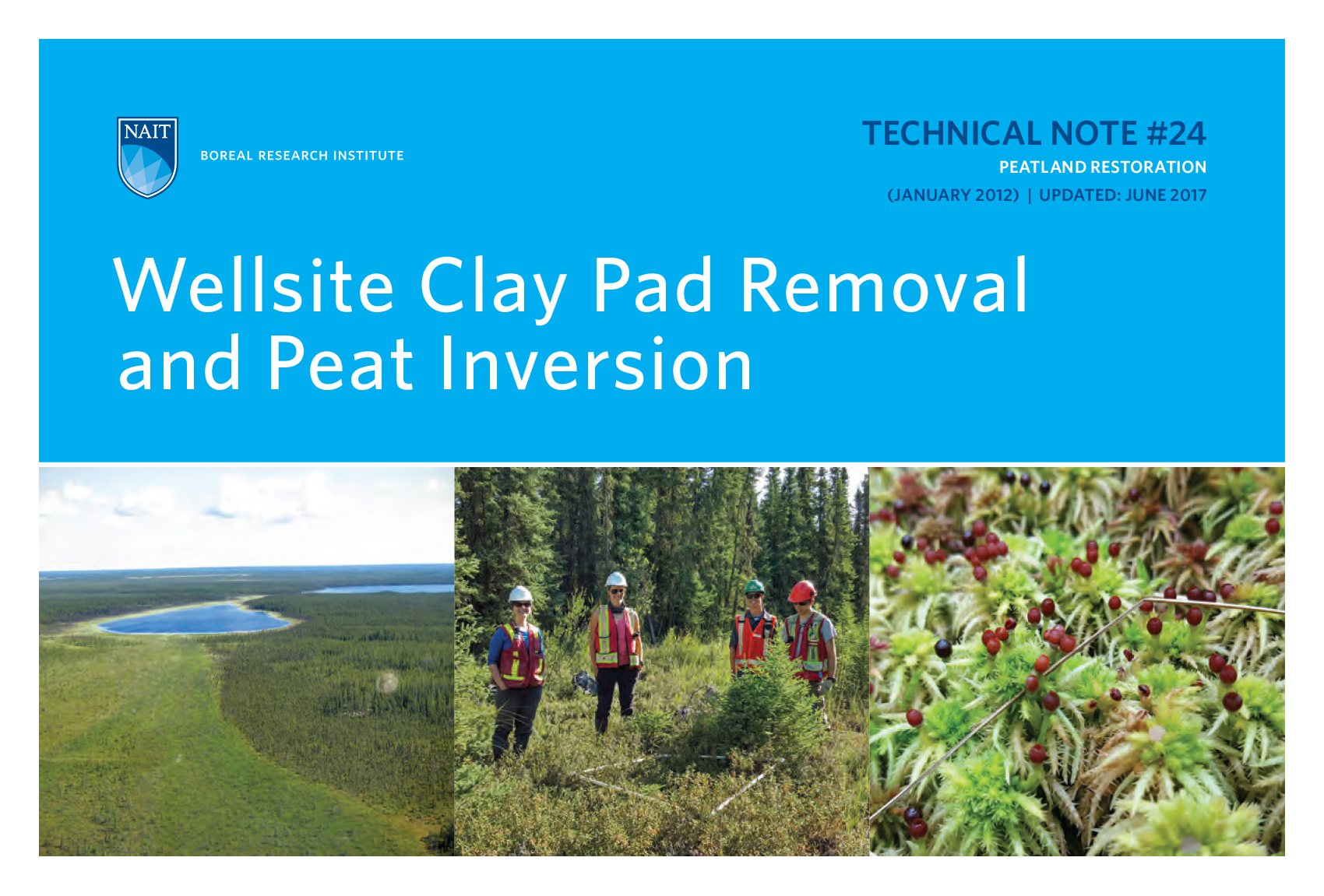Wellsite Clay Pad Removal and Peat Inversion | Canadian Conservation ...