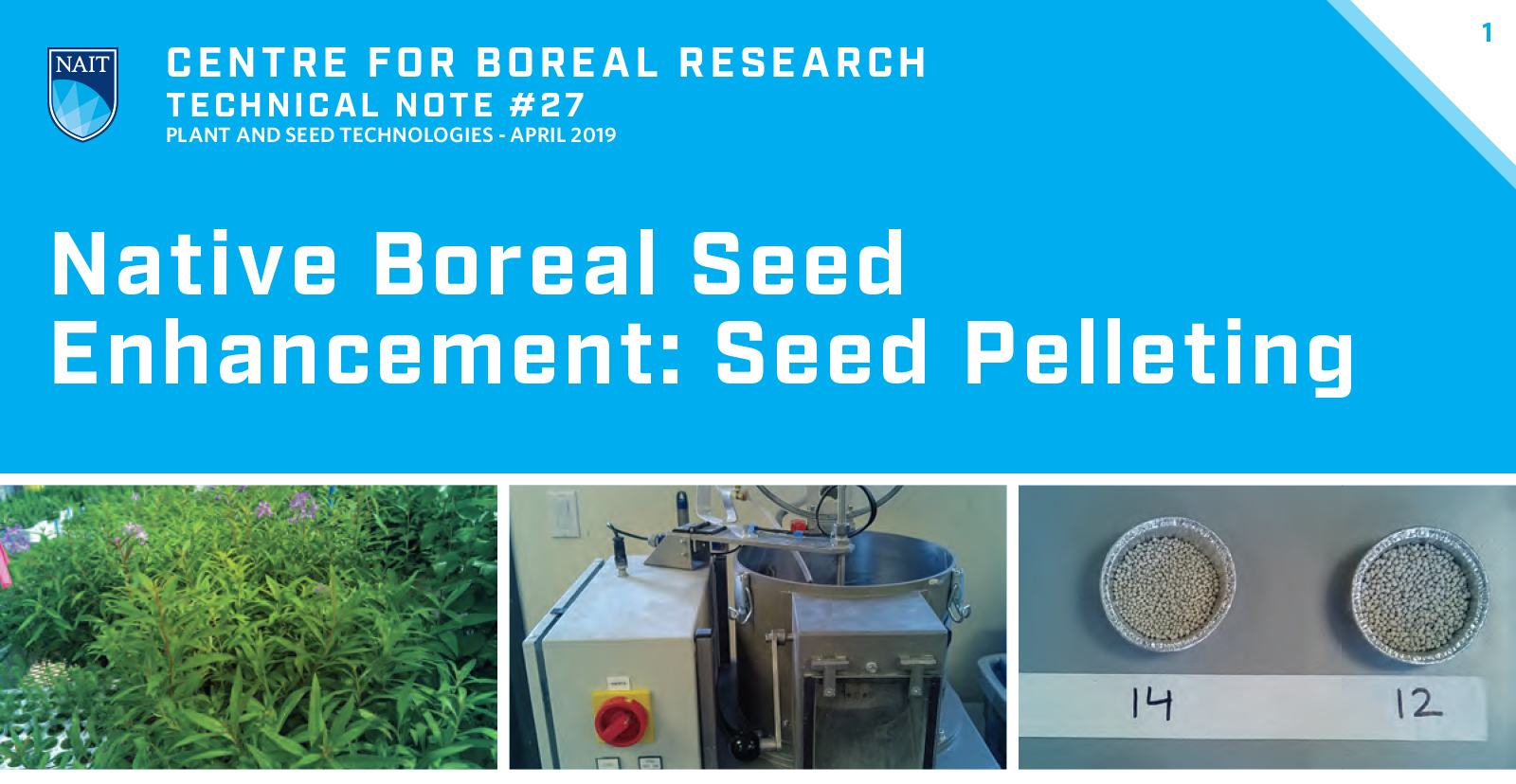 Native Boreal Seed Enhancement: Seed Pelleting | Canadian Conservation ...