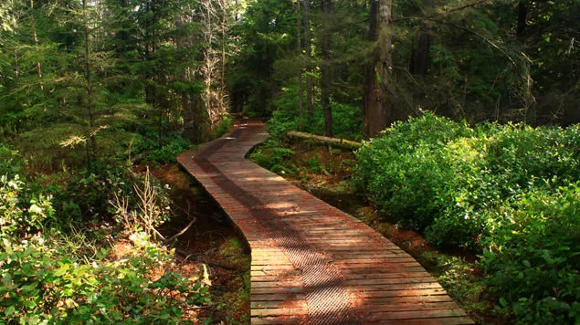 Delta Nature Reserve to be closed for a year during boardwalk ...